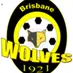 Olympic FC Brisbane vs Brisbane City: match statistics and data