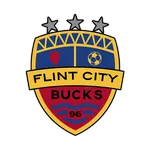 Michigan Bucks vs Kalamazoo FC: match statistics and data